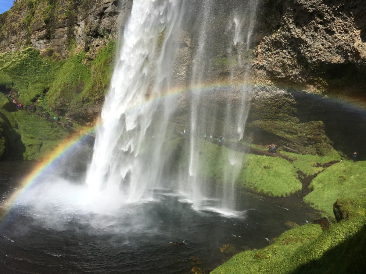 Goodbye Iceland – Kathy Borrus
