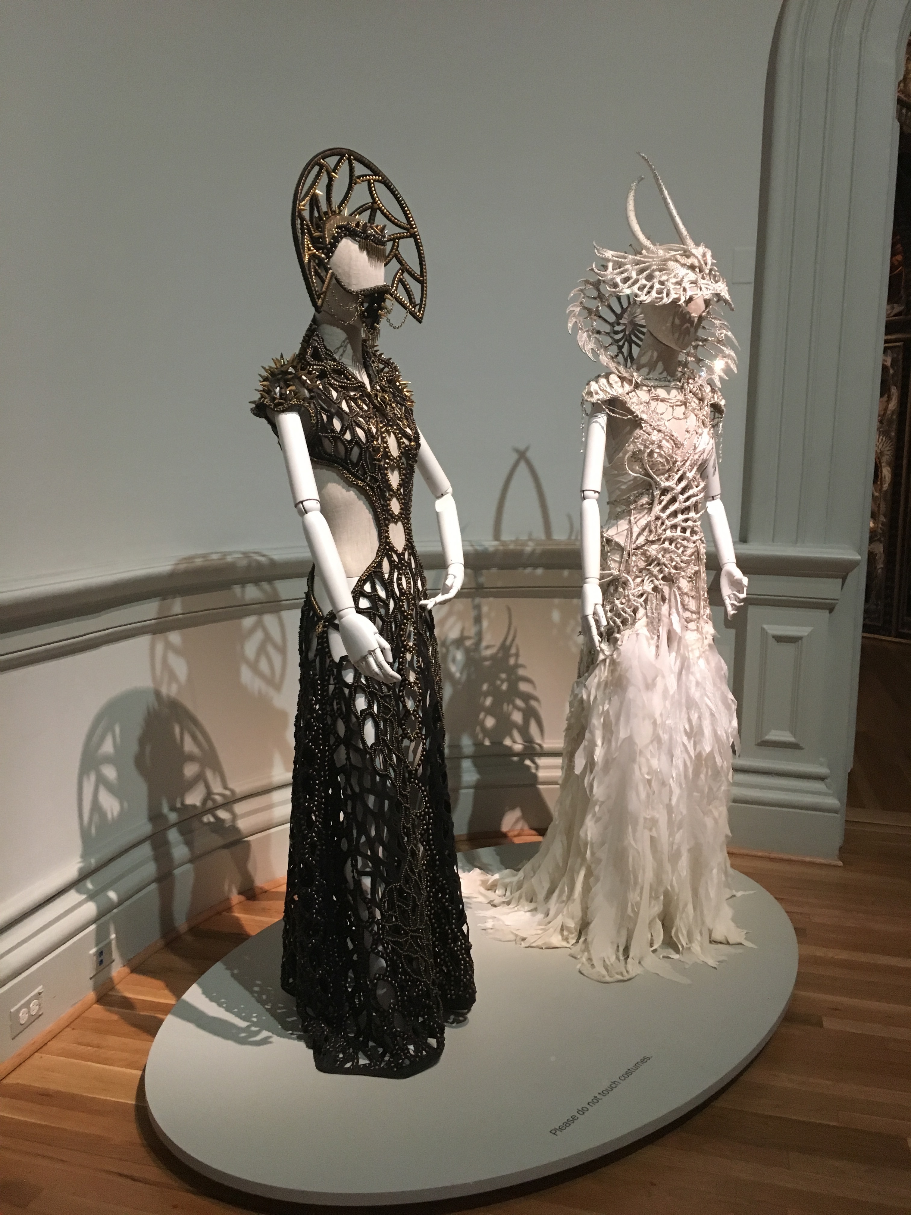 Renwick Rocks! – Kathy Borrus